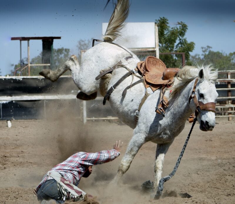 Best Rodeos in Utah (2018) - Neighbor Blog