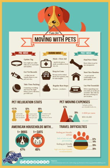 Moving with A Dog: A Complete Guide To Doggy Happiness | Neighbor