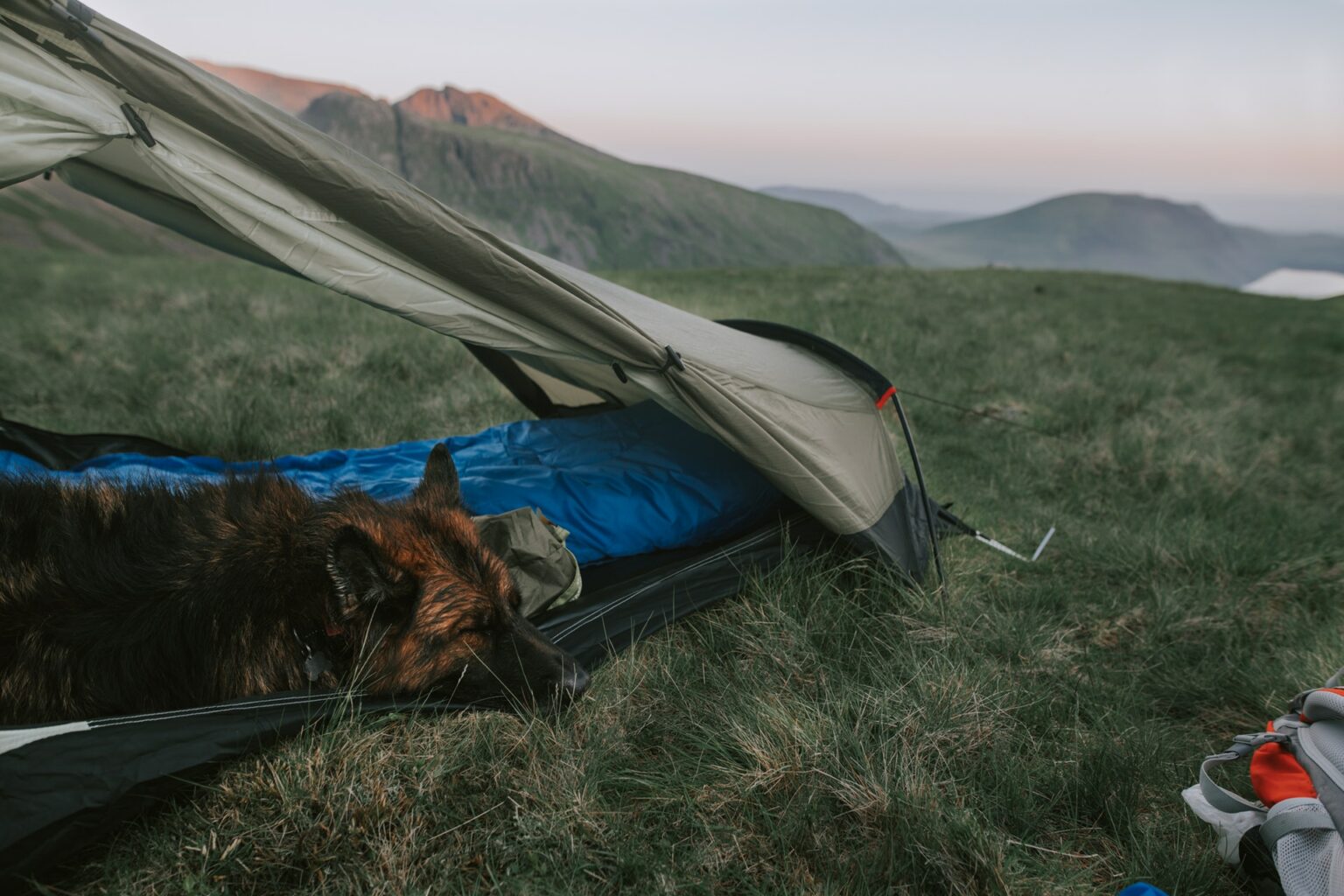 How to Store a Tent: 8 Simple Steps to Prepare For Storage | Neighbor