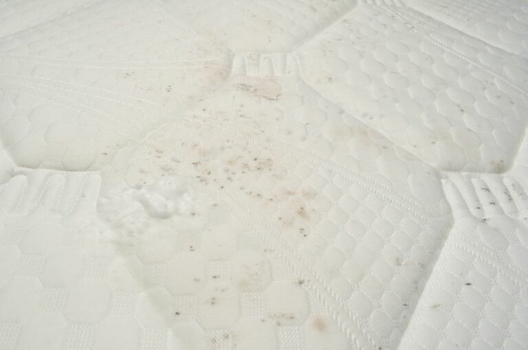 How to Clean a Mattress: A Complete Guide - Neighbor Blog