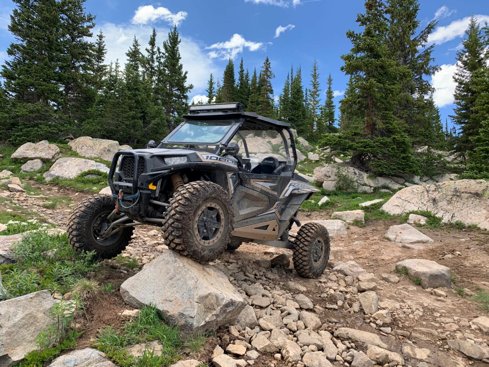 ATV vs. UTV: The Key Differences Between Them - Neighbor Blog