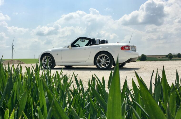 10 Best Summer Cars for Every Budget - Neighbor Blog