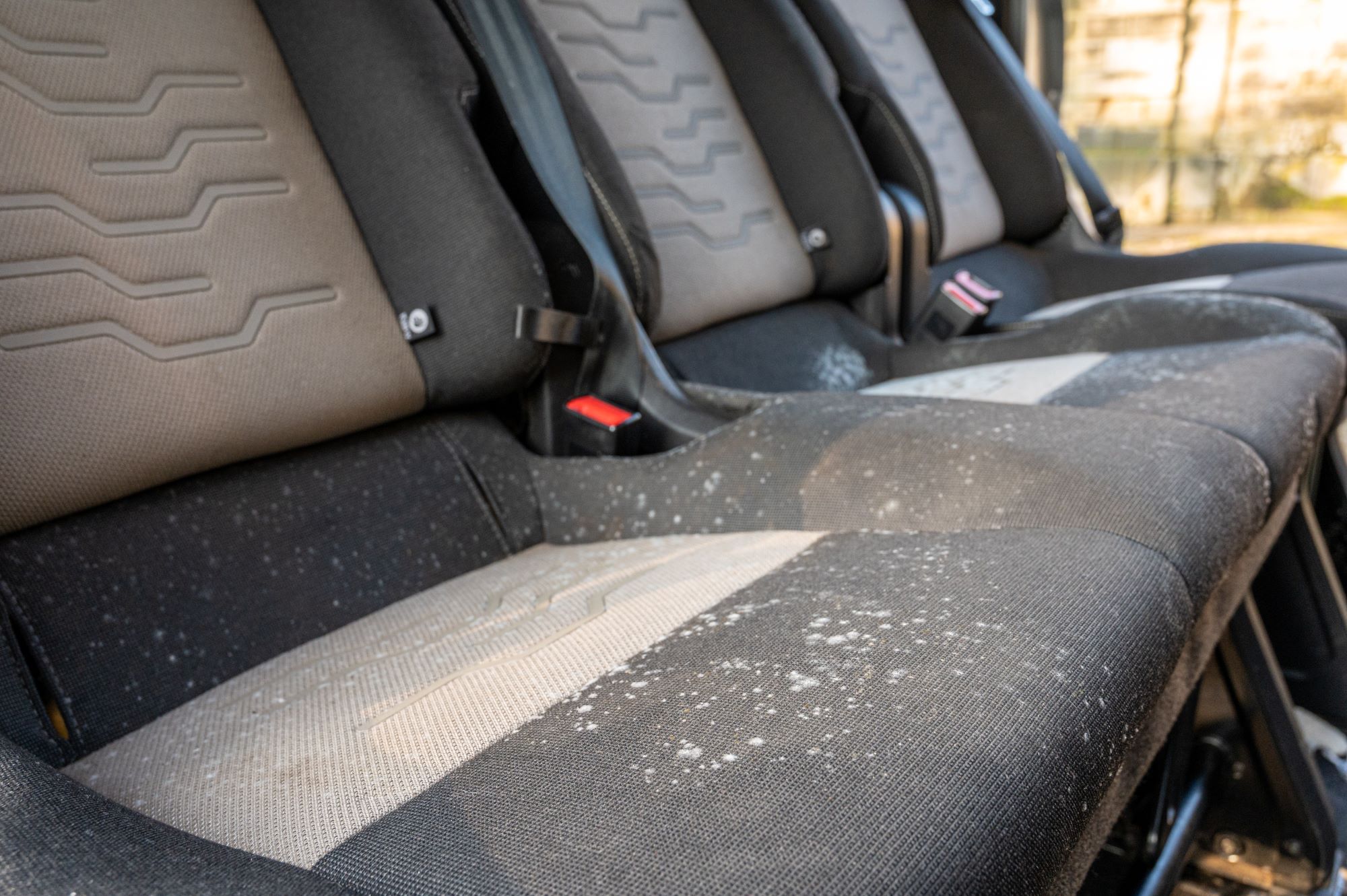 How to Get Rid of Mold in Your Car: 6 Tips - Neighbor Blog