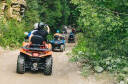 Different Types of ATVs: A Comprehensive Guide - Neighbor Blog