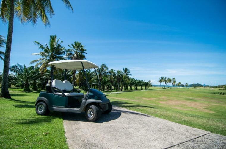 The 7 Best Golf Cart Brands: A Buyer's Guide - Neighbor Blog