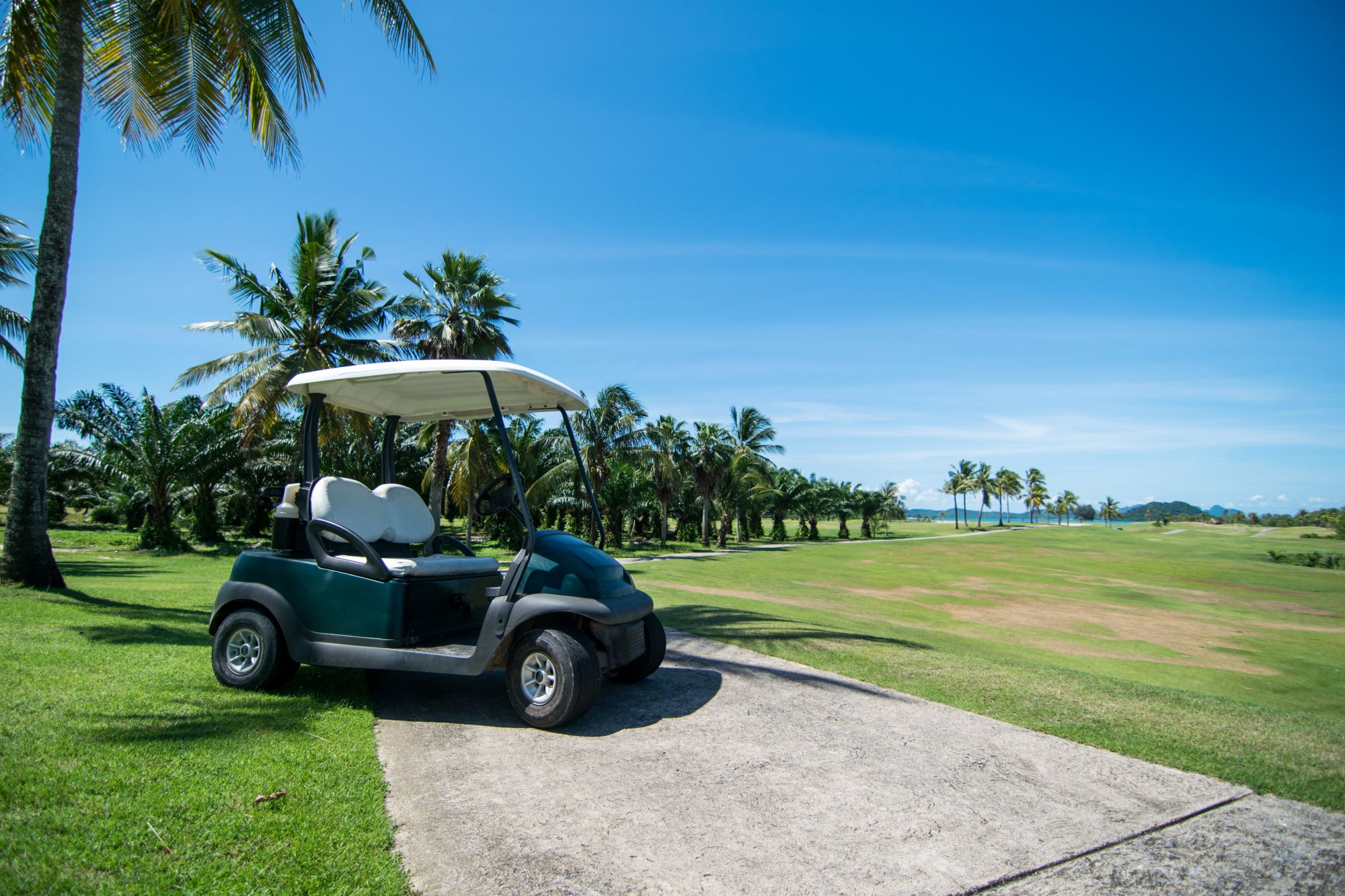 The Best 6 Golf Carts of 2024 - Neighbor Blog