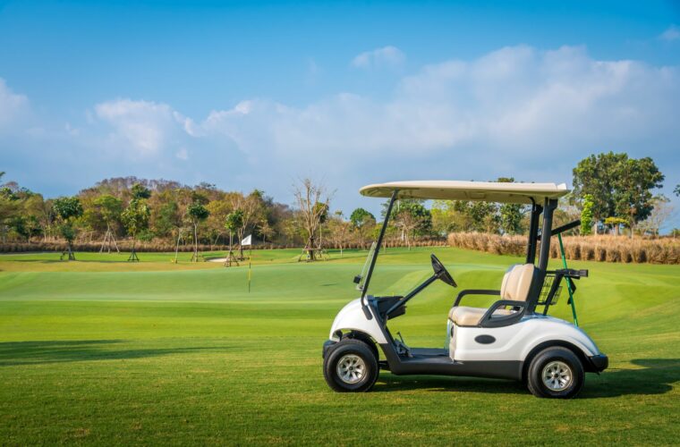 The 7 Best Golf Cart Brands: A Buyer's Guide - Neighbor Blog