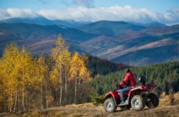 A Complete Guide to ATV Sizing - Neighbor Blog