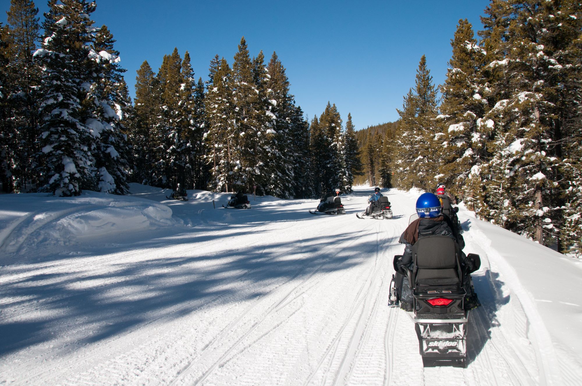 The 4 Best Snowmobiles For Beginners - Neighbor Blog