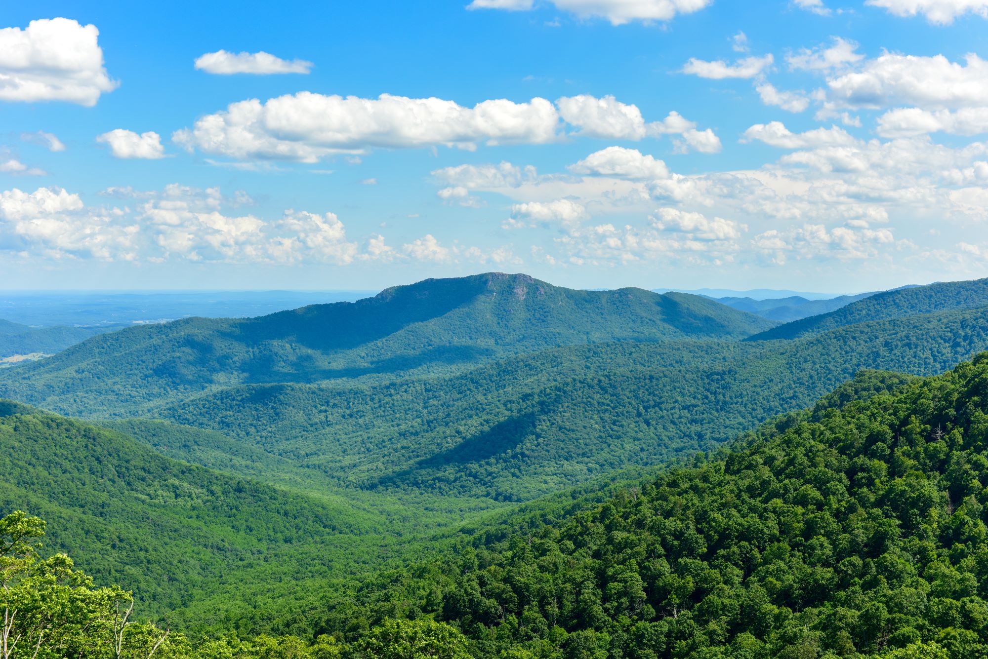 The 5 Best Campgrounds and RV Parks Near Shenandoah National Park ...