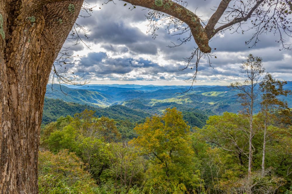 The Best Campgrounds and RV Parks Near Charlotte, North Carolina ...